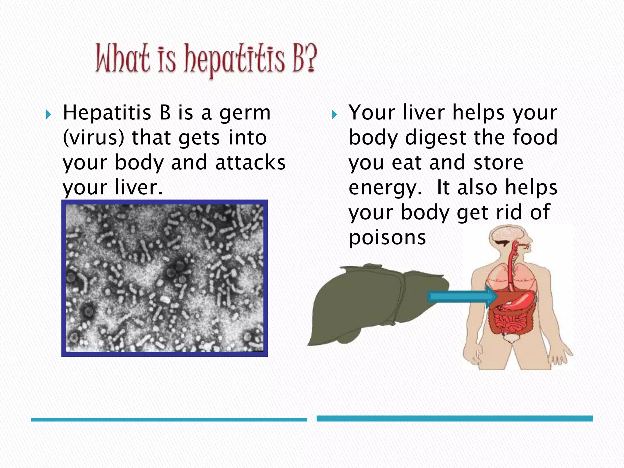 Ppt on hepatitis b | PPTX