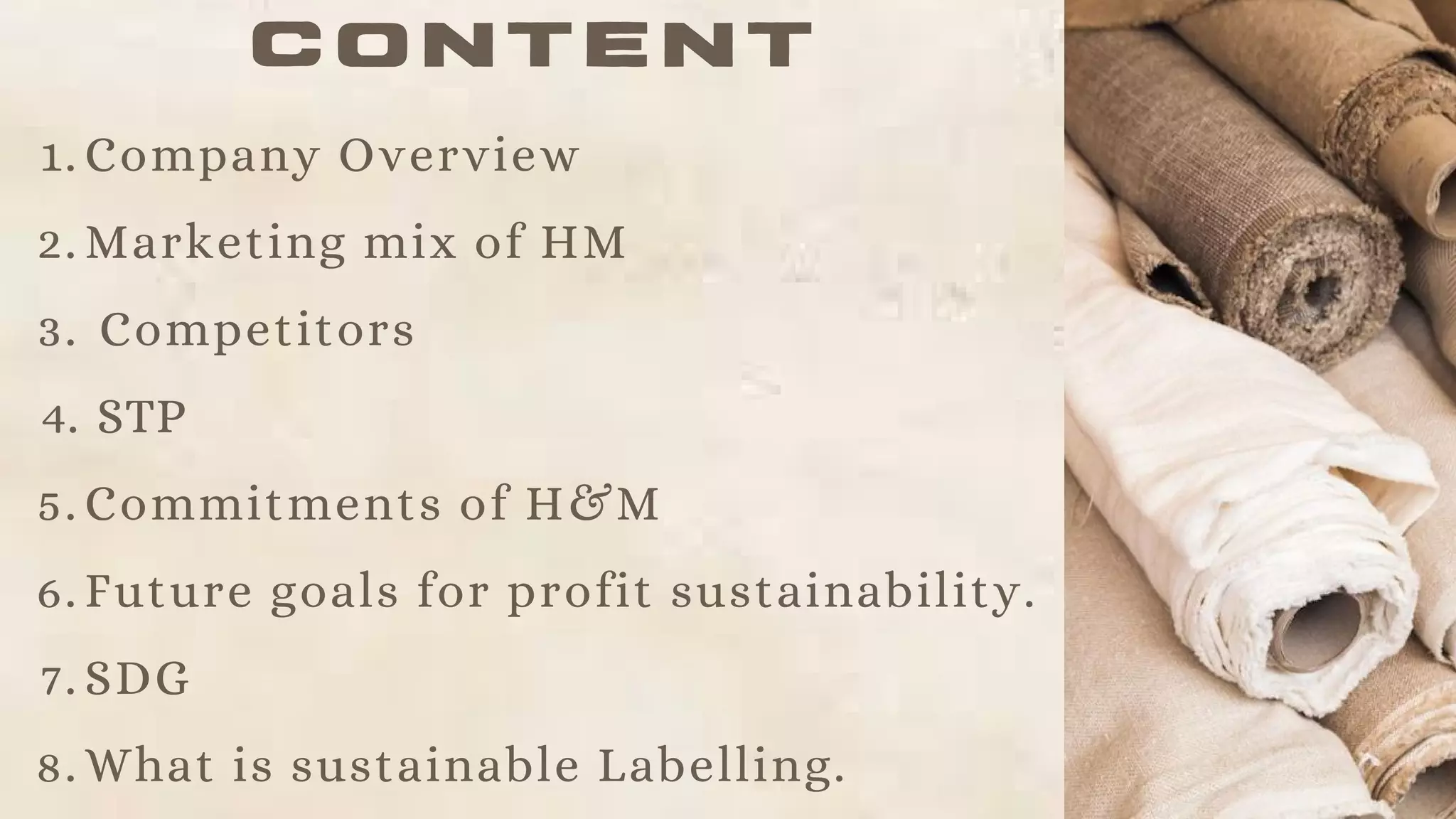 PPT ON H&M.pdf