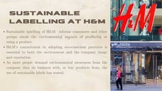 PPT ON H&M.pdf