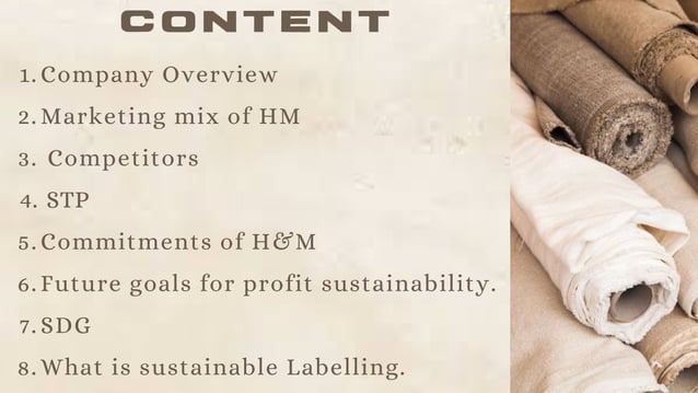 PPT ON H&M.pdf