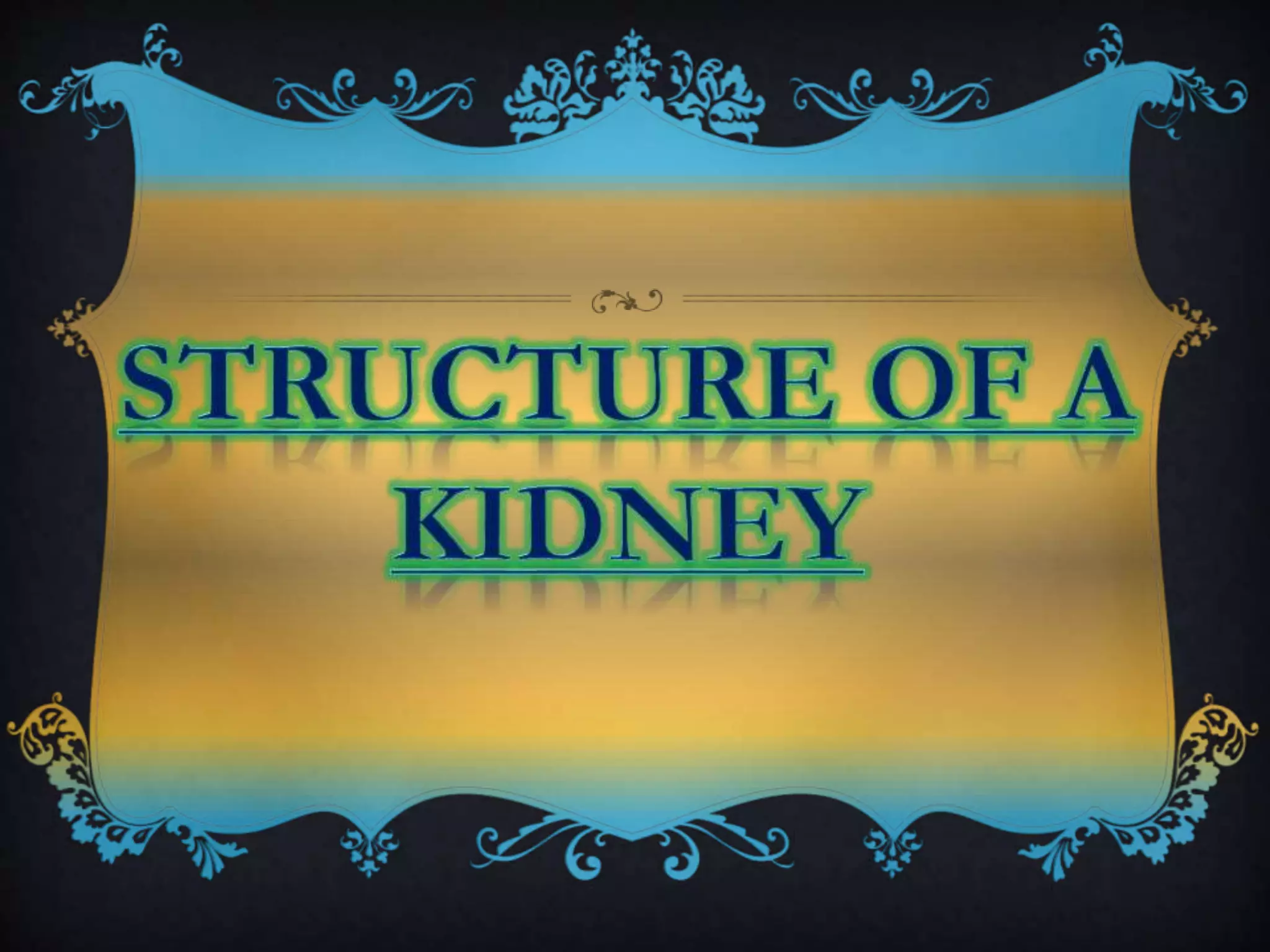 HUMAN EXCRETORY SYSTEM- PPT | PPTX