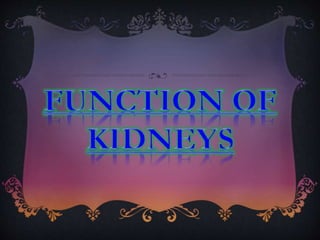 HUMAN EXCRETORY SYSTEM- PPT | PPTX