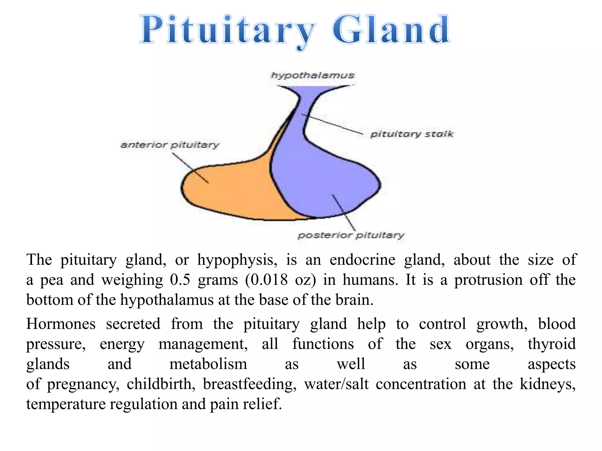 Ppt on hypothalamic & anterior pituitary hormones | PPTX