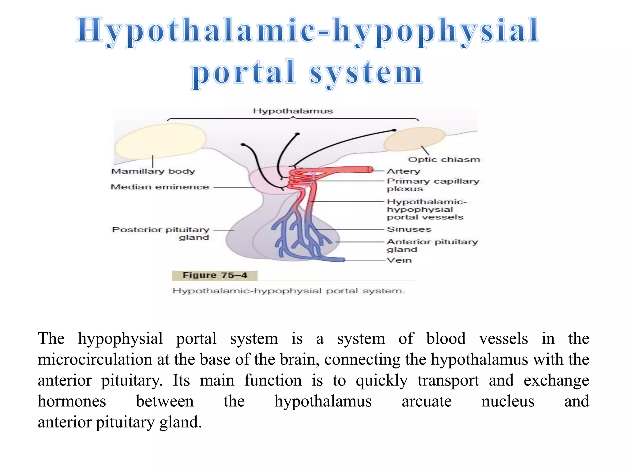 Ppt on hypothalamic & anterior pituitary hormones | PPTX