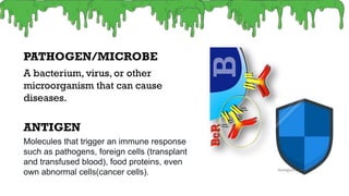 Comprehensive Overview of the Human Immune System and Its Defense ...