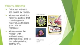 Comprehensive Overview of the Human Immune System and Its Defense ...
