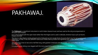 Ppt on indian musical instrument.pptx