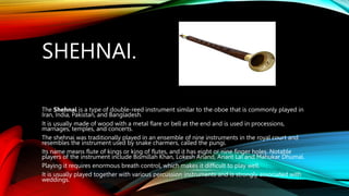 Ppt on indian musical instrument.pptx