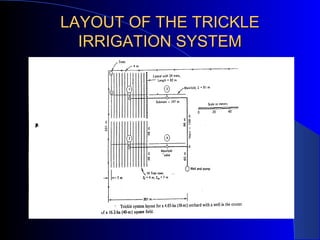 Ppt on irrigation | PPT