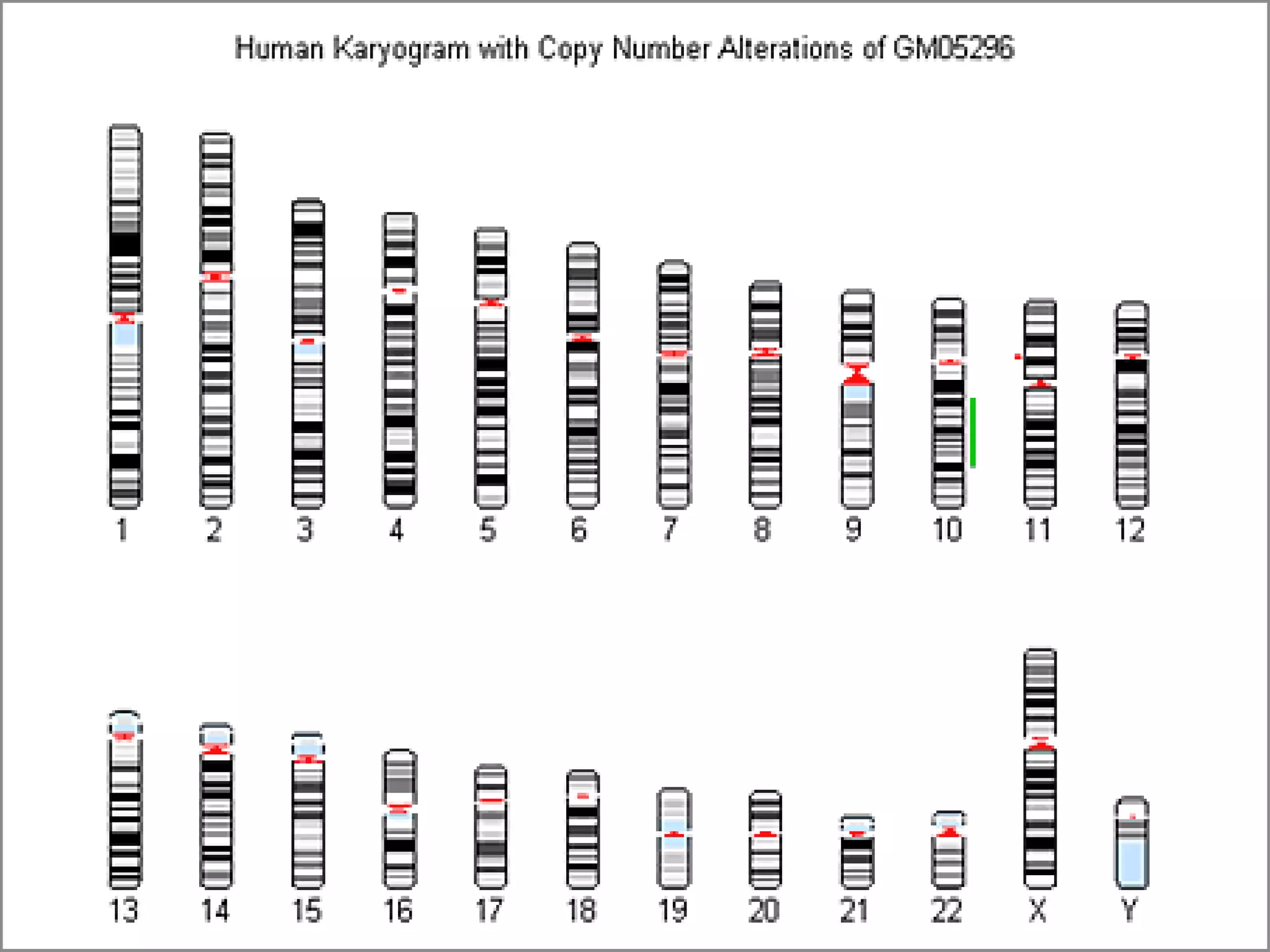 Ppt on karyotyping, chromosome banding and chromosome painting. | PPTX