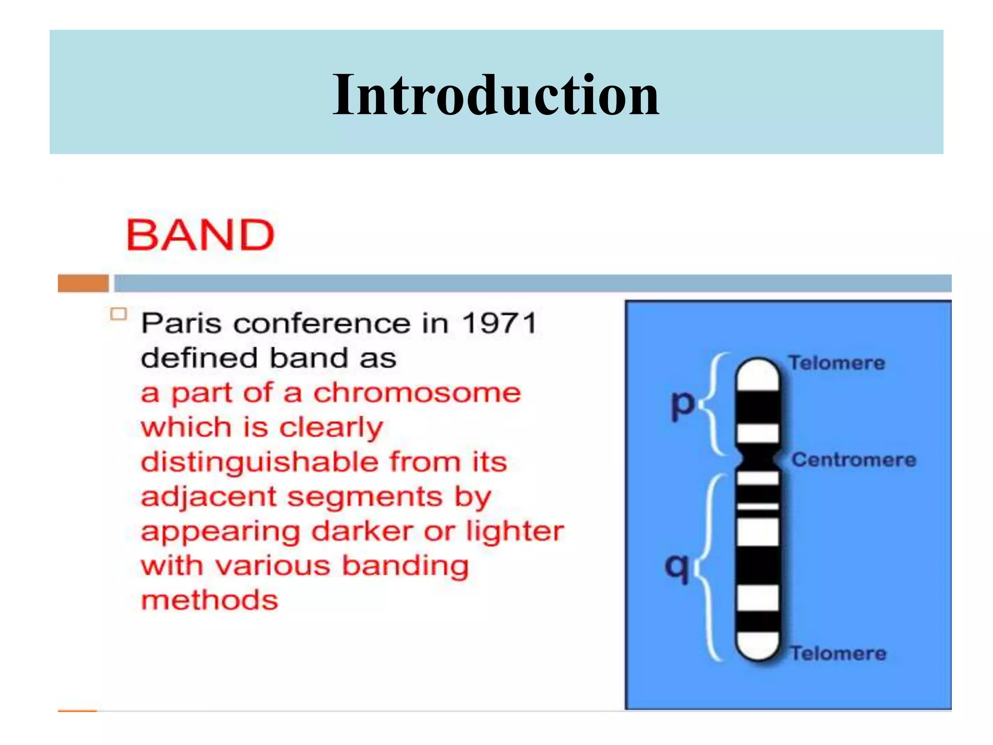 Ppt on karyotyping, chromosome banding and chromosome painting. | PPTX