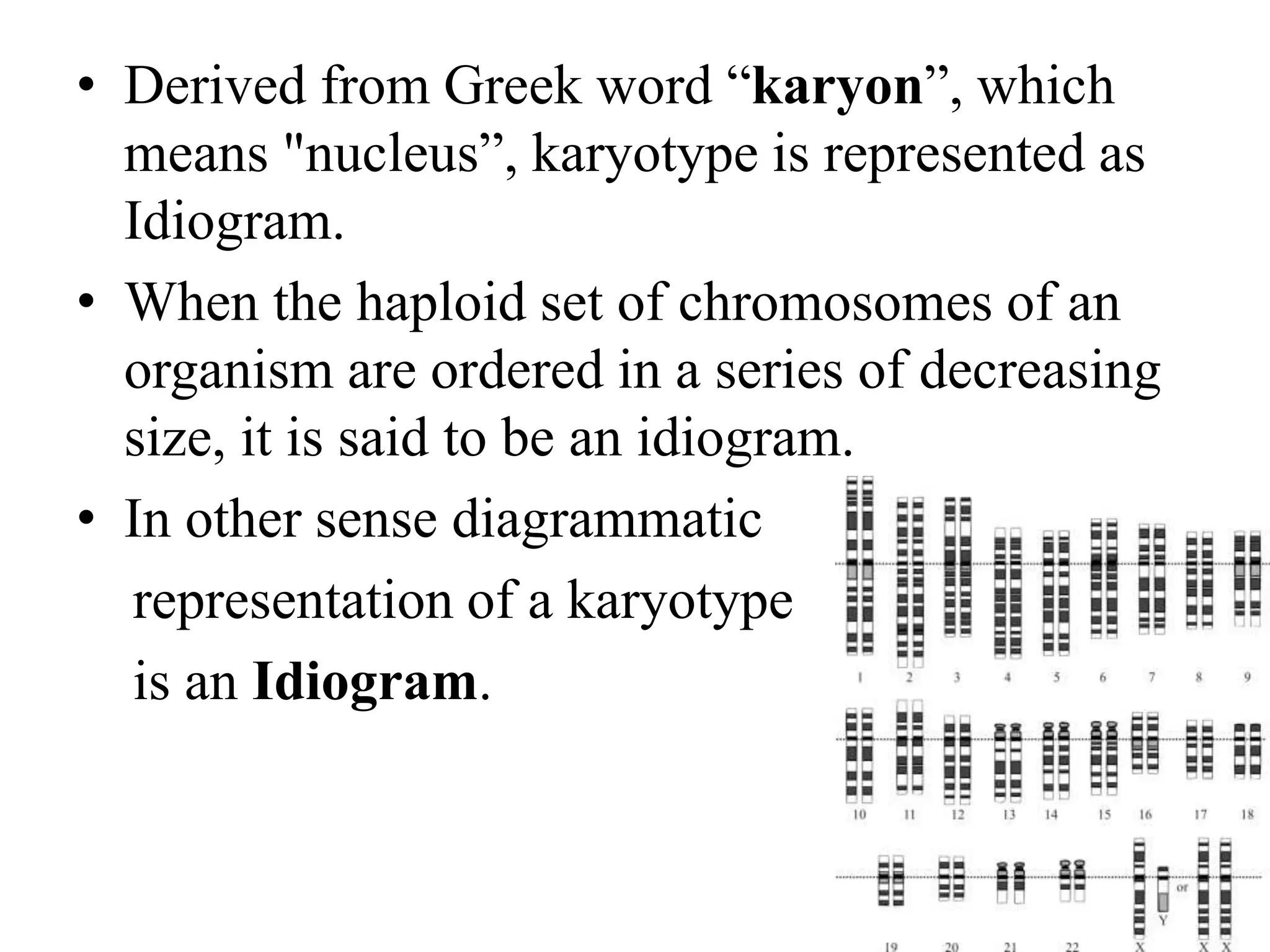 Ppt on karyotyping, chromosome banding and chromosome painting. | PPTX