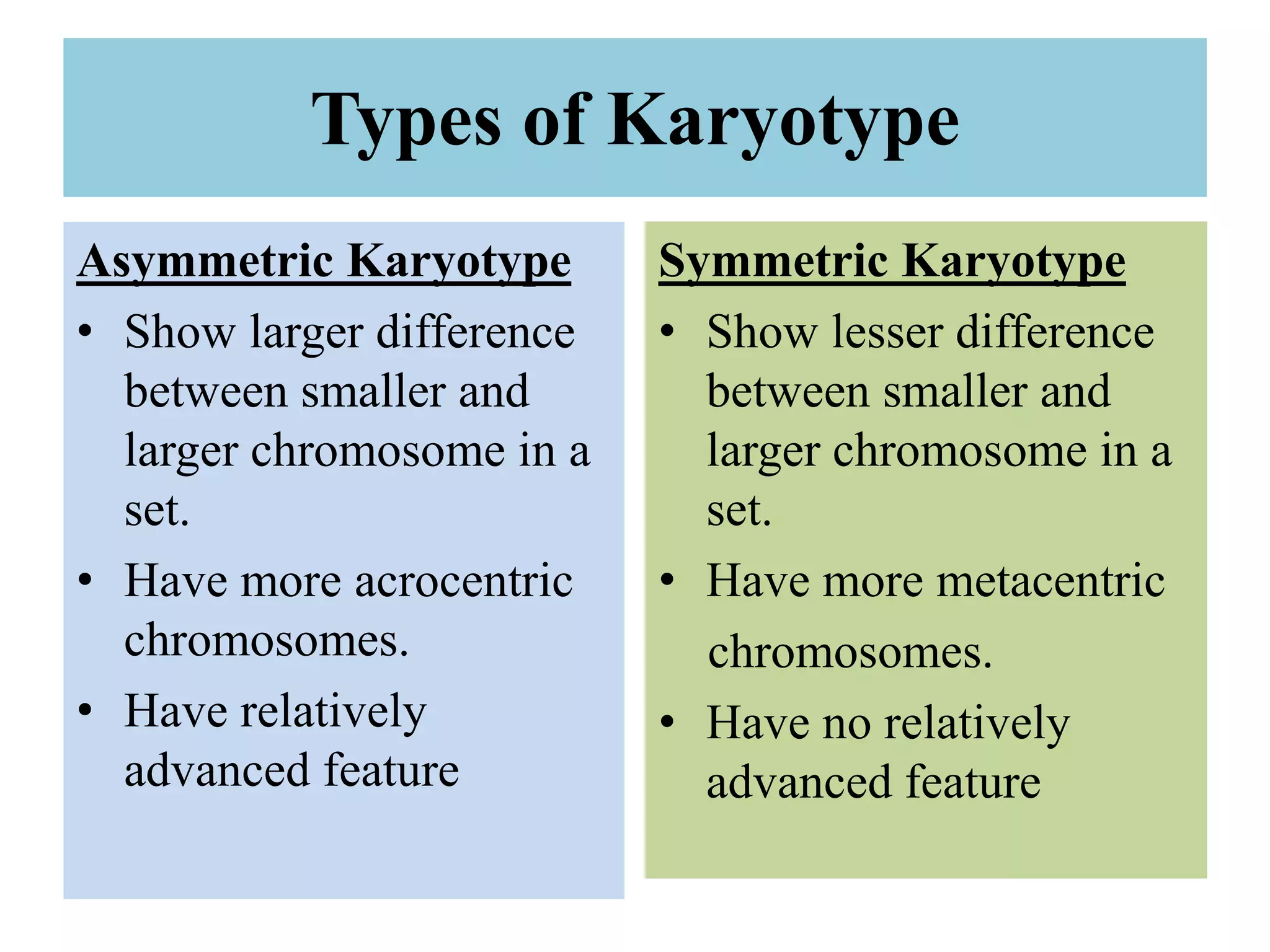 Ppt on karyotyping, chromosome banding and chromosome painting. | PPTX