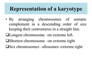 Ppt on karyotyping, chromosome banding and chromosome painting. | PPTX