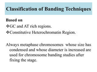 Ppt on karyotyping, chromosome banding and chromosome painting. | PPTX