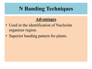 Ppt on karyotyping, chromosome banding and chromosome painting. | PPTX