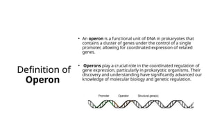 PPT ON lac Operon on E. coli and questions on it.pptx