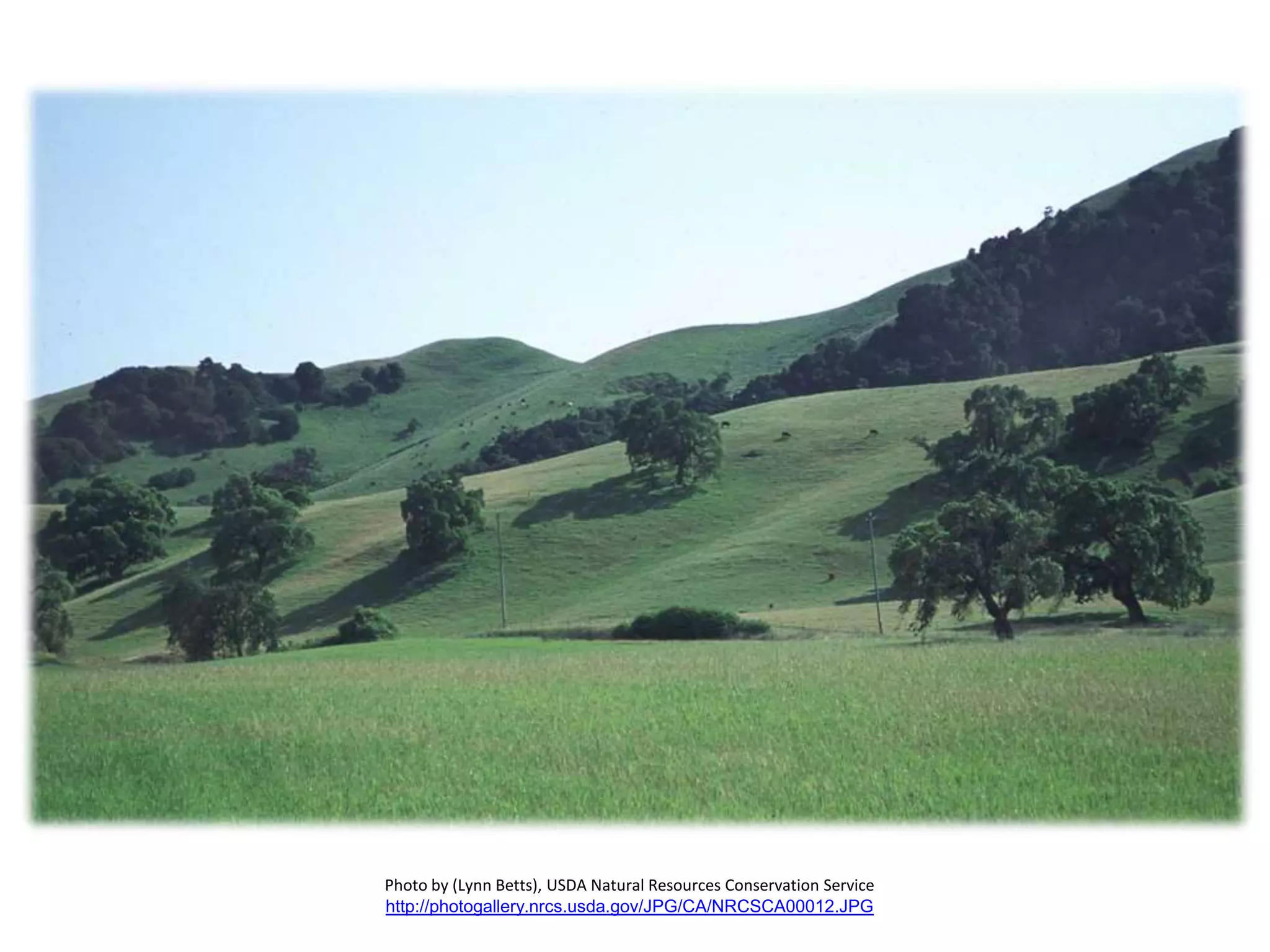 Landforms 3rd Grade | PPTX