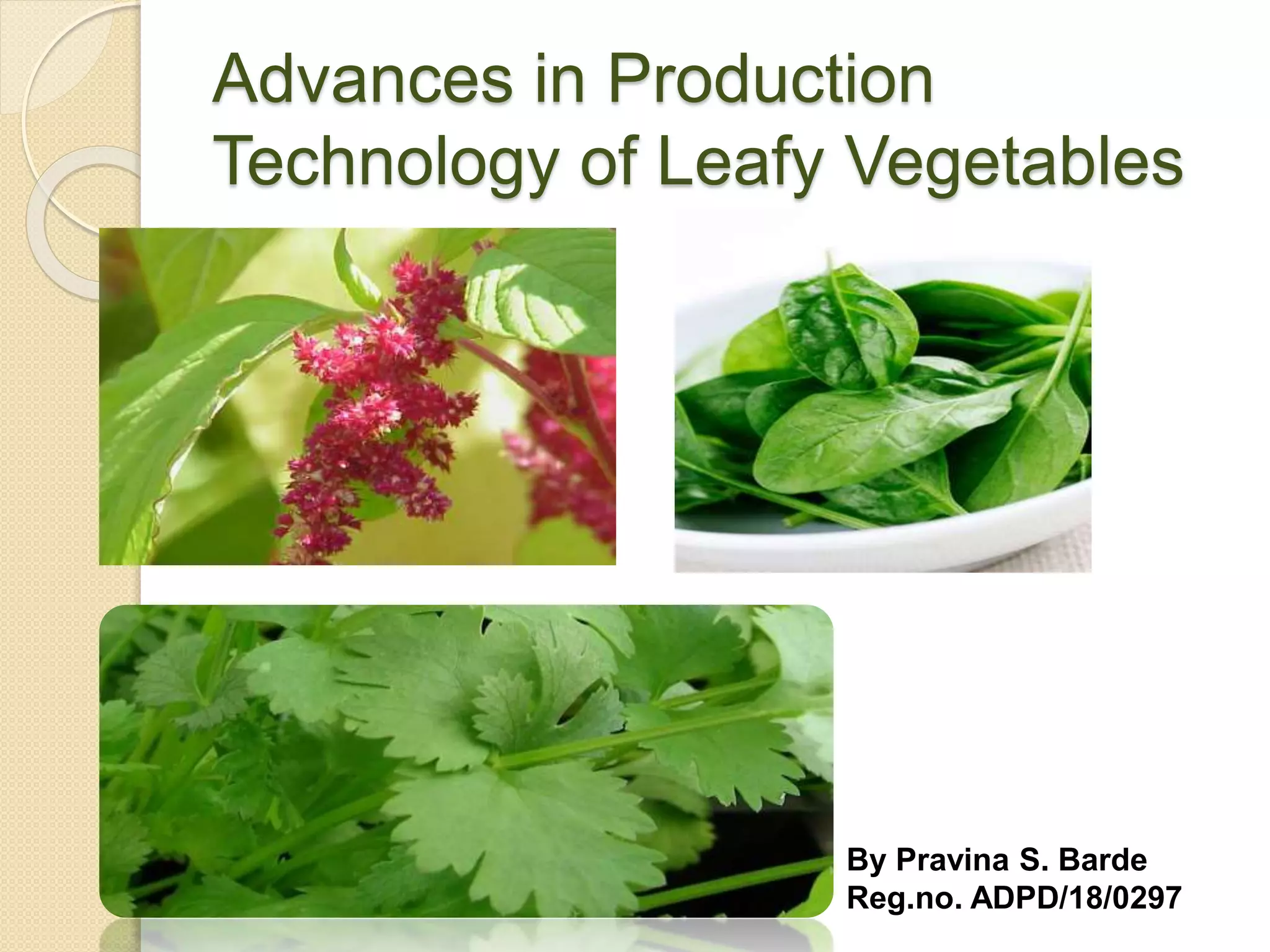 Production technology of leafy vegetable | PPTX