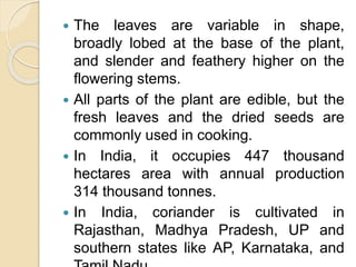 Production technology of leafy vegetable | PPTX