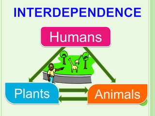 Ppt on living things | PPSX