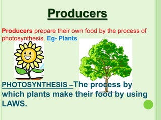 Ppt on living things | PPSX