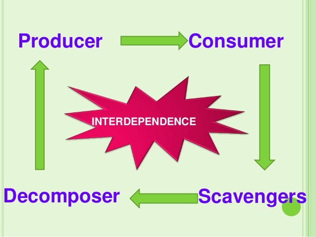 Ppt on living things
