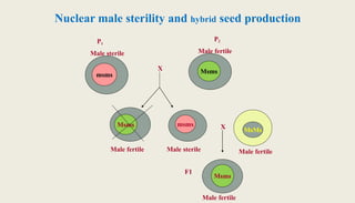 Male sterility and Self-incompatibility with DK Arya Sir | Dev Kumar ...