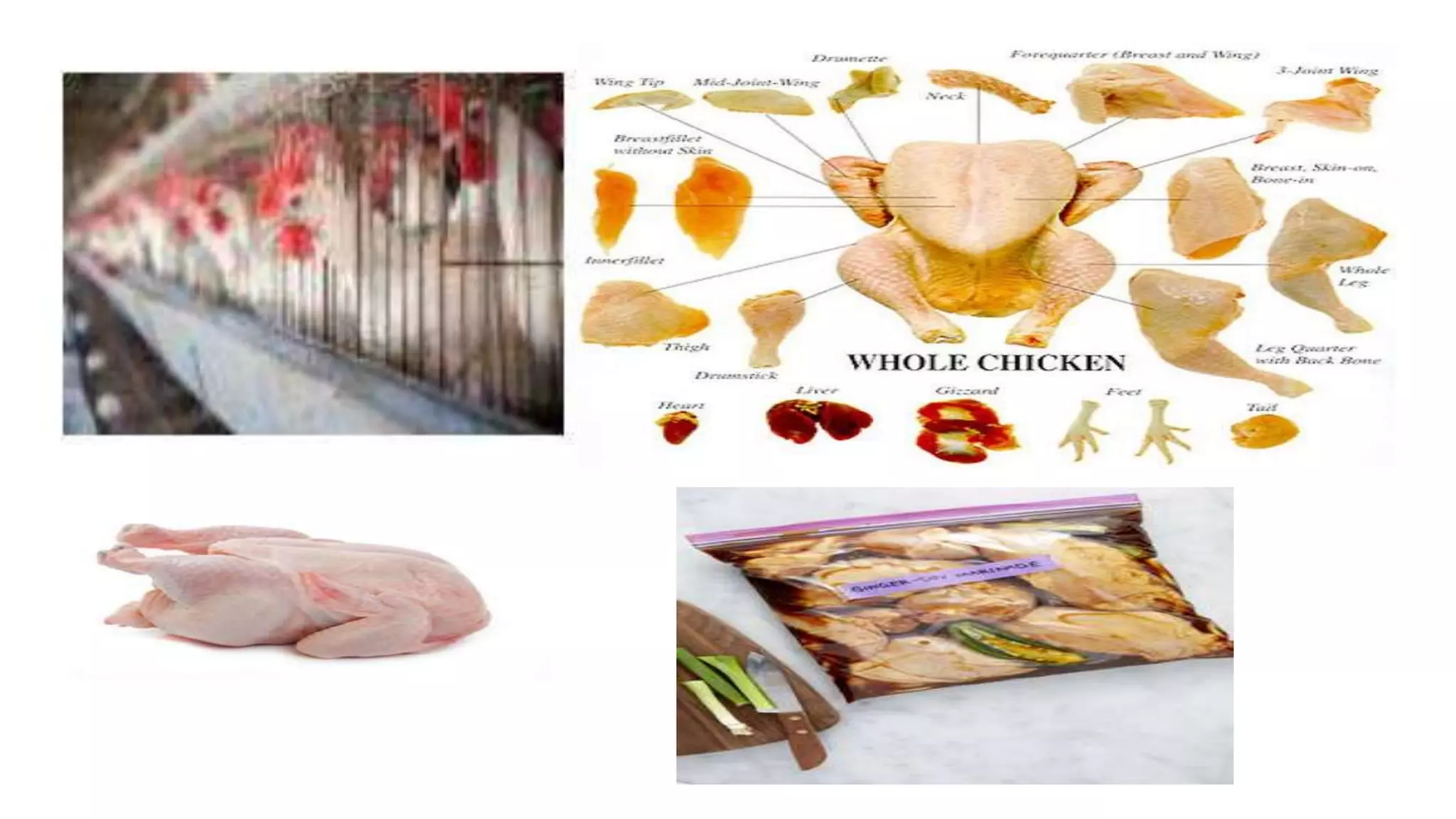 PPT on market forms of poultry.pptx
