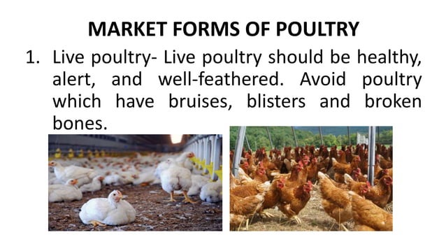 PPT on market forms of poultry.pptx | Birds | Pets