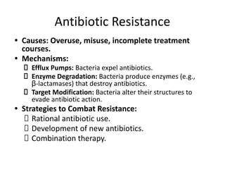 PPT on Mechanism & Action of Antibiotics.pdf