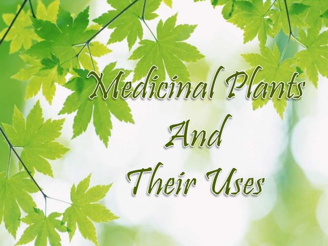 Ppt on medical plants and their uses by tanvi bansal | PPTX | Herbs and ...