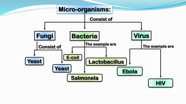 Ppt on micro organsims 1 | PPT