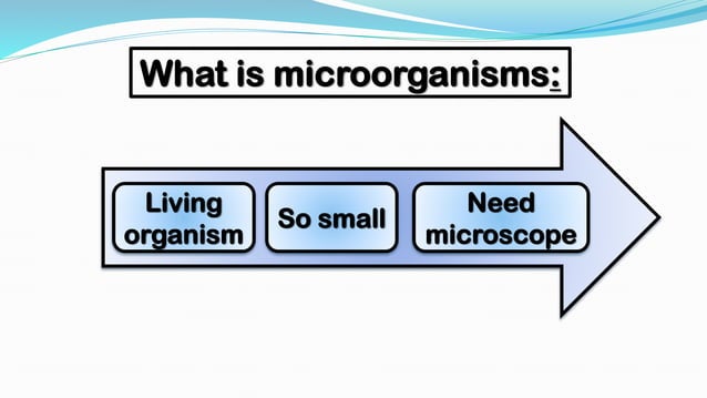 Ppt on micro organsims 1 | PPT