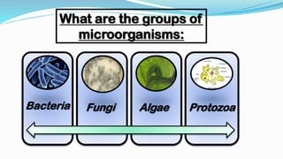 Ppt on micro organsims 1 | PDF