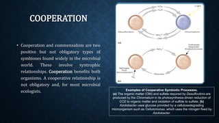 microbial ecology and microbial interaction | PPTX