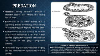 microbial ecology and microbial interaction | PPTX