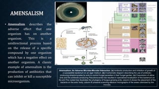 microbial ecology and microbial interaction | PPTX