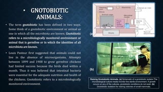 microbial ecology and microbial interaction | PPTX