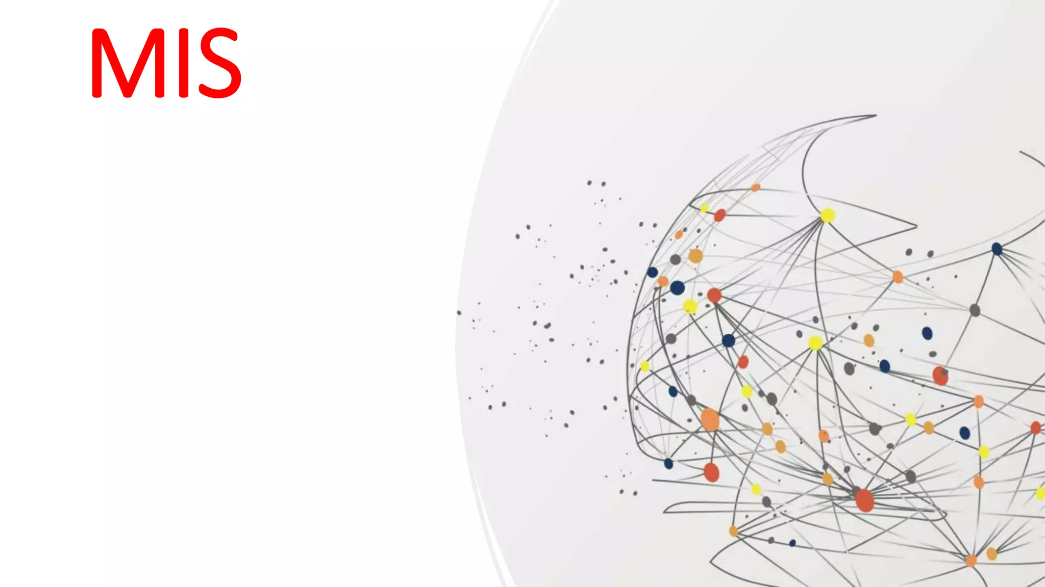 PPT on mis.pptx
