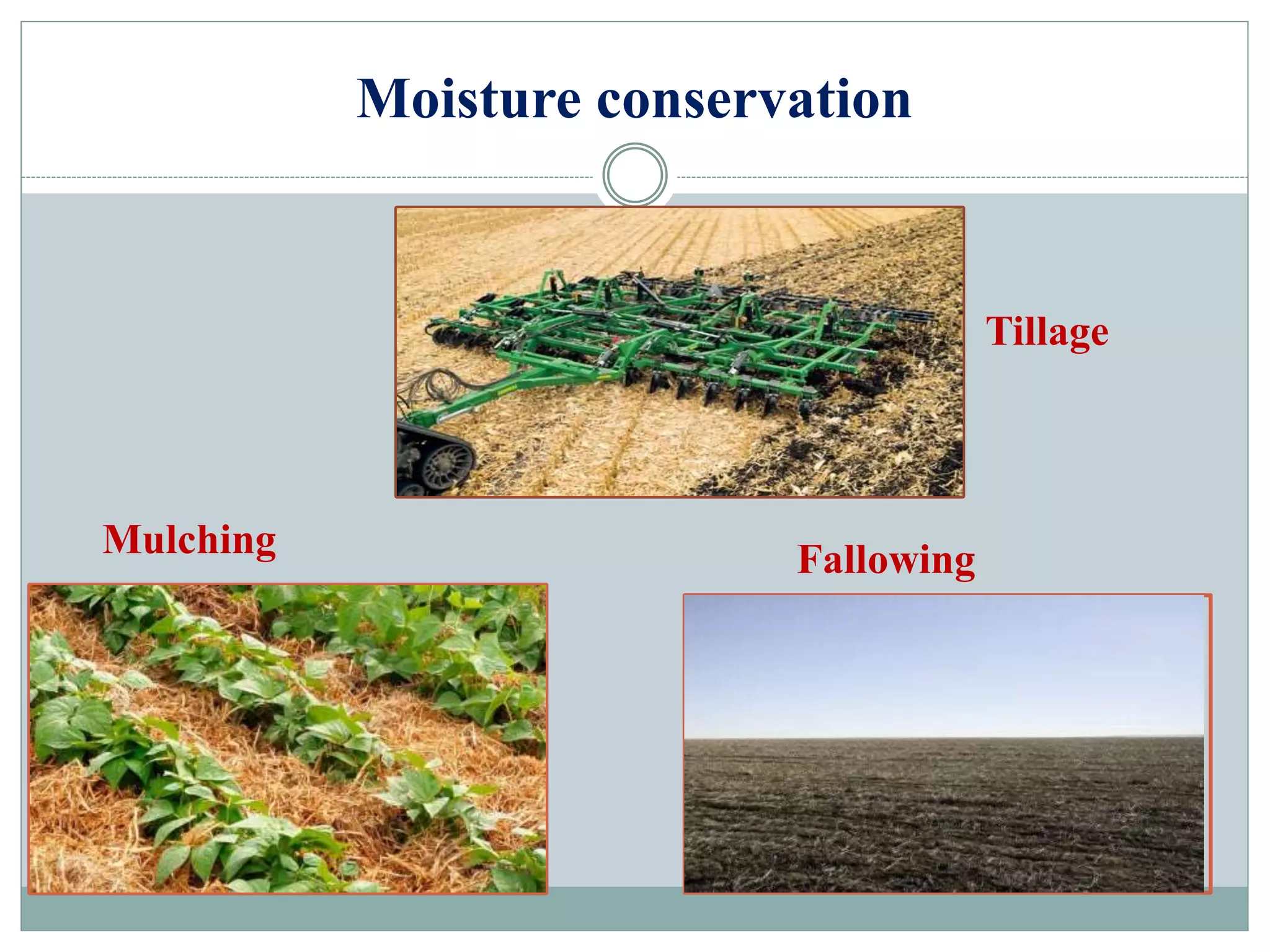 DRYLAND FARMING | PPTX