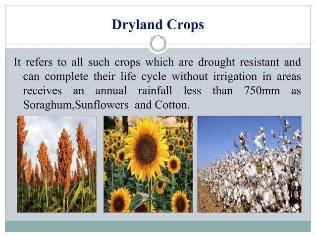 DRYLAND FARMING | PPTX