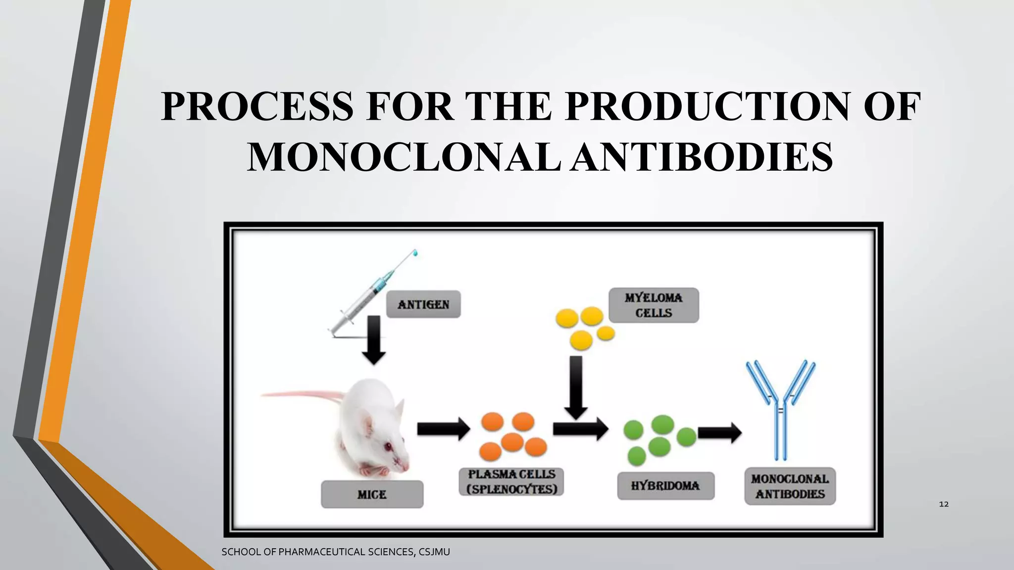 PPT ON MONOCLONAL ANTIBODIES.saurabh punia.ppt.pptx