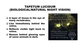 PPT on night vision technology | PPT