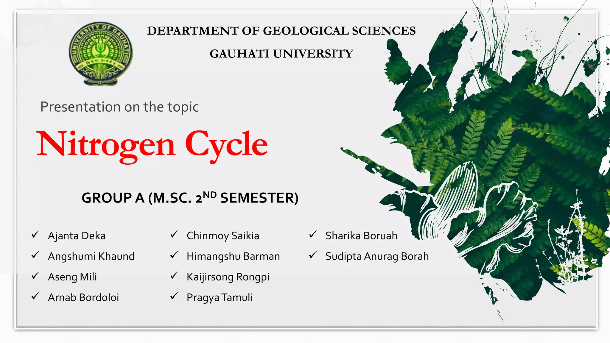 NITROGEN CYCLE INRELATION TO GEOLOGY | PPT