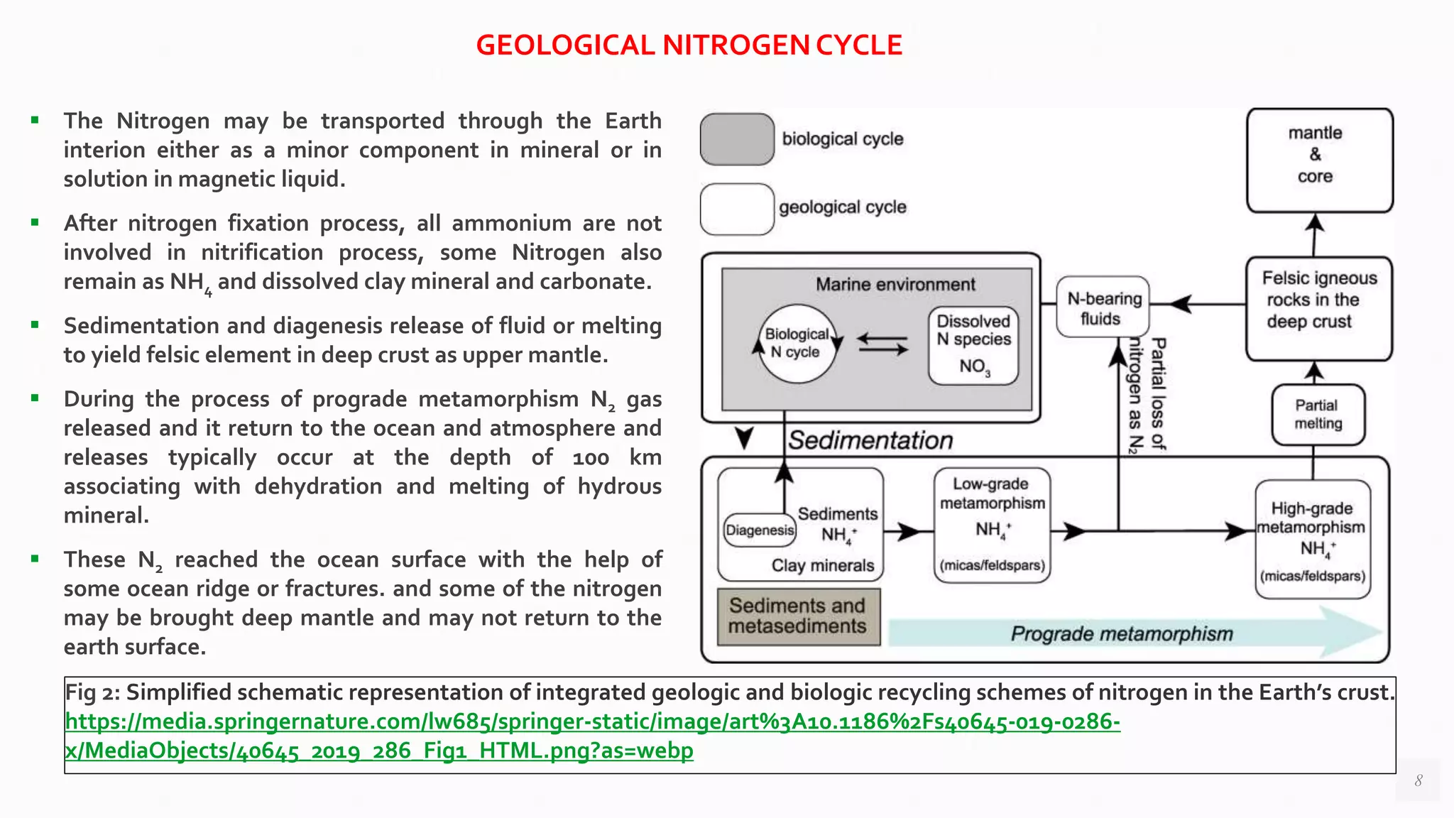 NITROGEN CYCLE INRELATION TO GEOLOGY | PPT