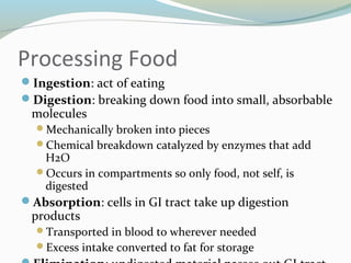 Ppt on nutrition and digestion | PPT