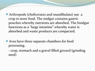 Ppt on nutrition and digestion | PPT