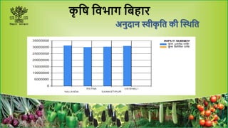 PPT on Organic Input Subsidy.pptx