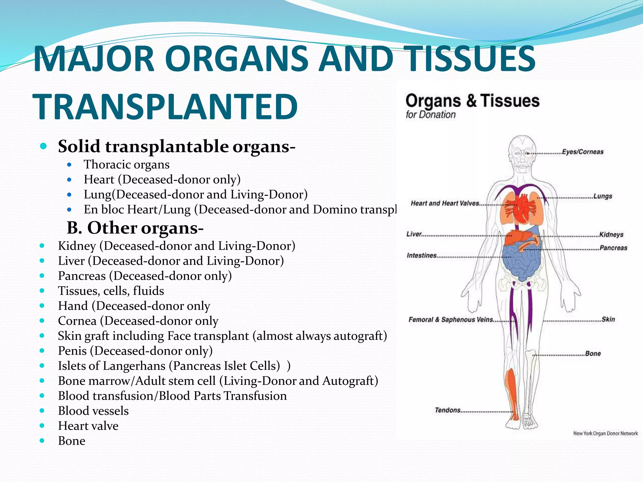 organ transplant | PPTX